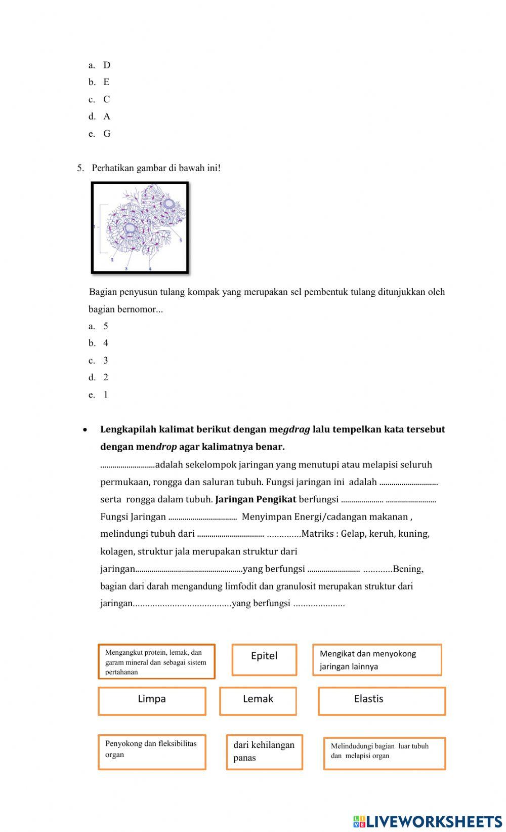 LKPD Biologi online pdf exercise | Live Worksheets