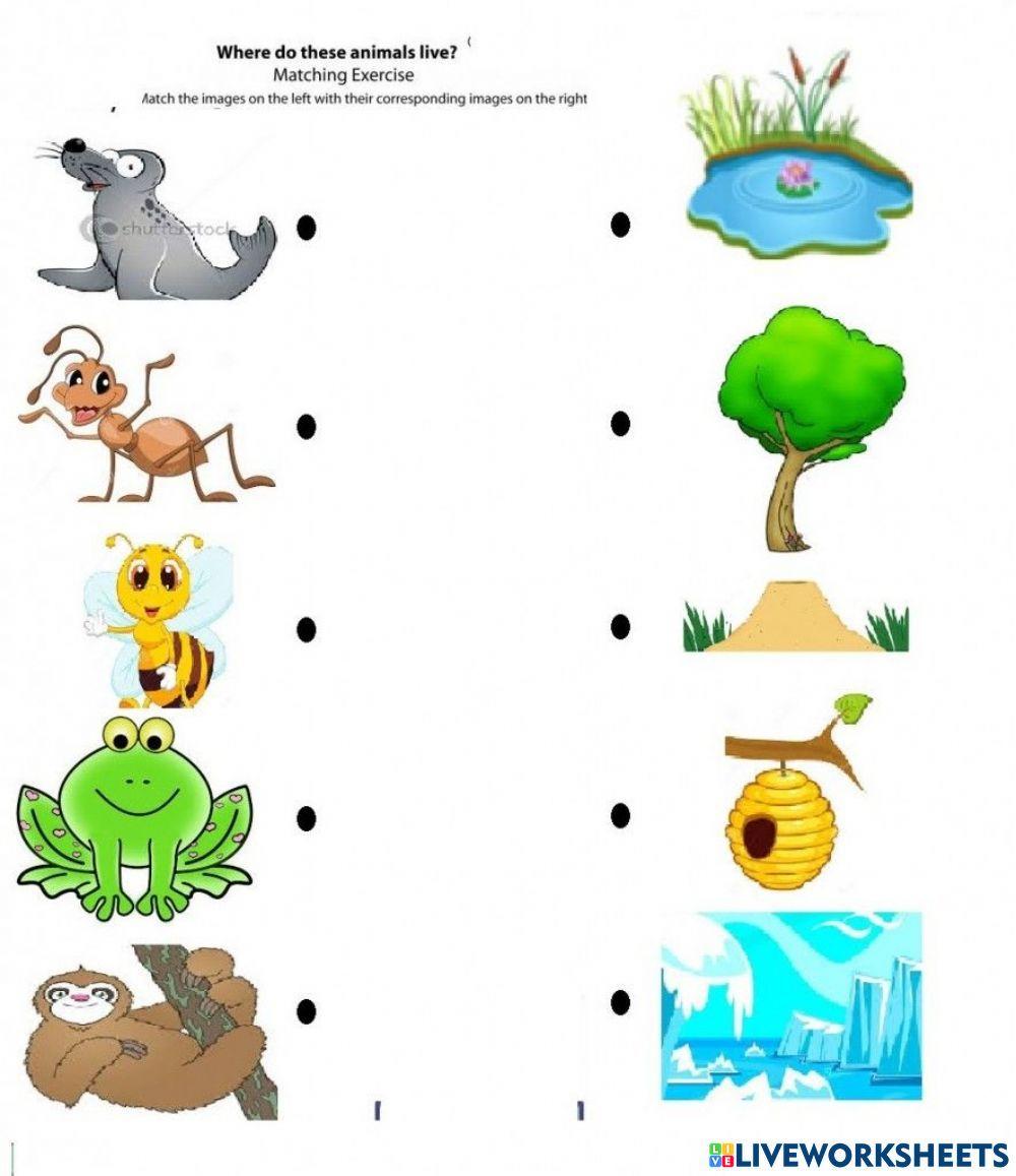 Animals And Their Habitat Exercise Live Worksheets animals-and-their-habitat-exercise-live-worksheets