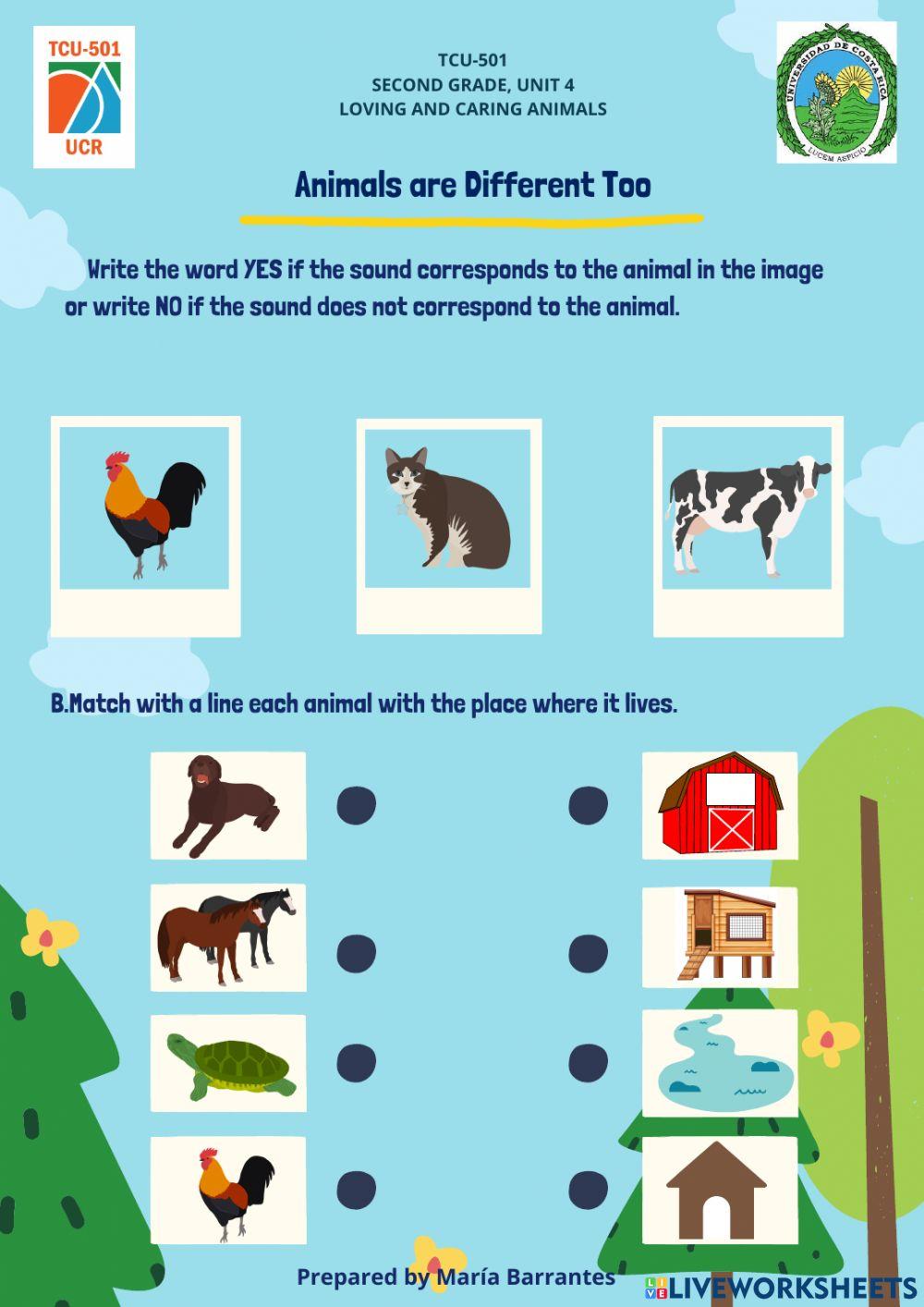 Animal are Different Too worksheet | Live Worksheets
