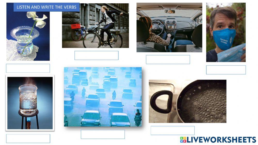 Daily activities, facts or general rules worksheet | Live Worksheets