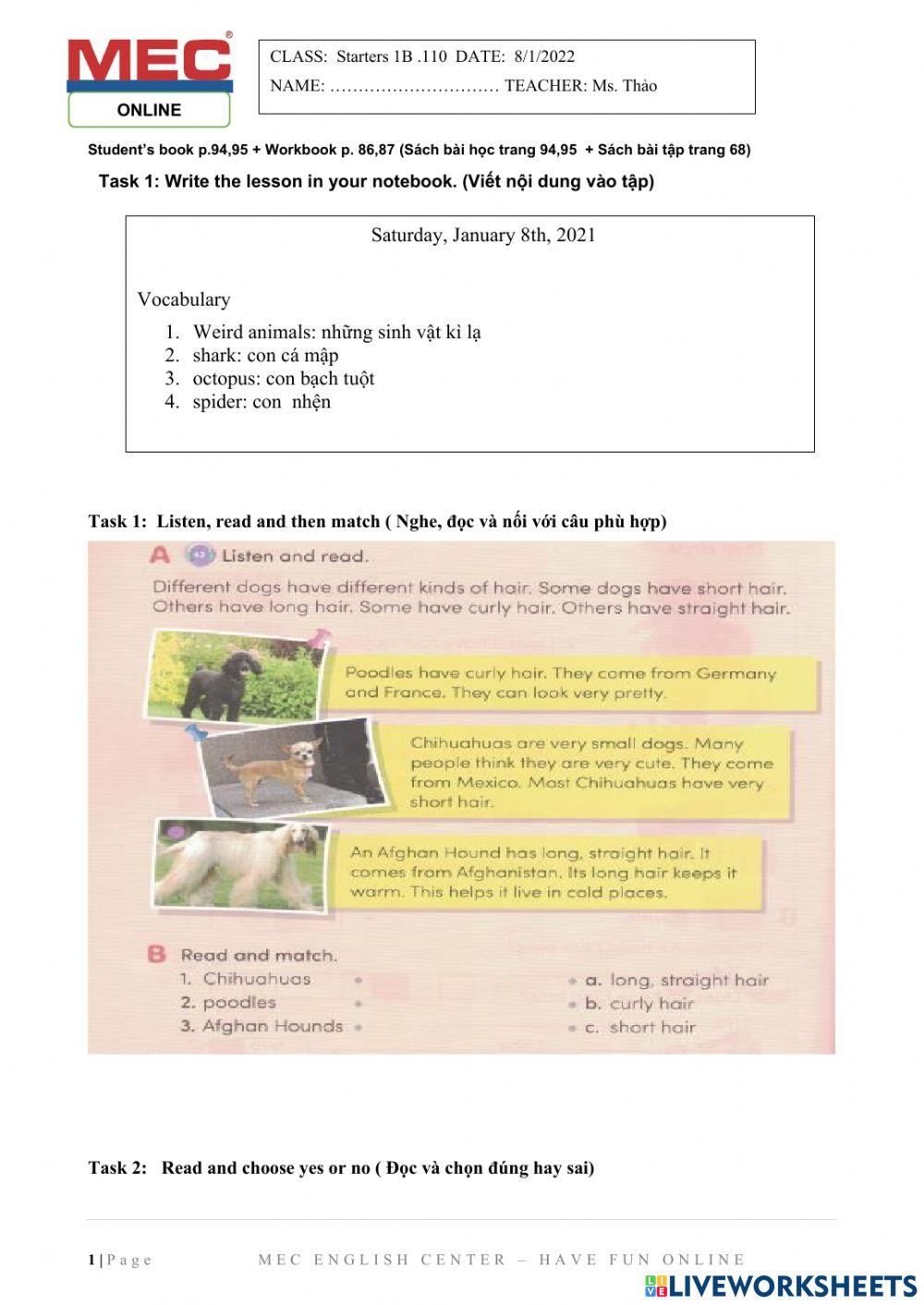 Starters 1B- Unit 8- Lesson 4 1775648 | Vo Thanh Thao