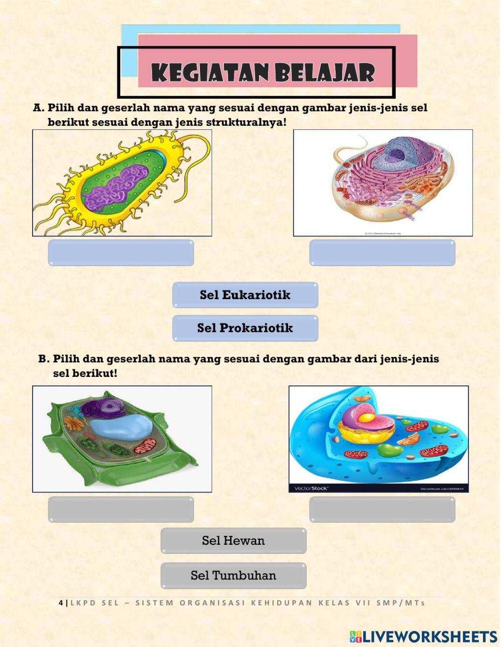Sel online exercise for 7 | Live Worksheets