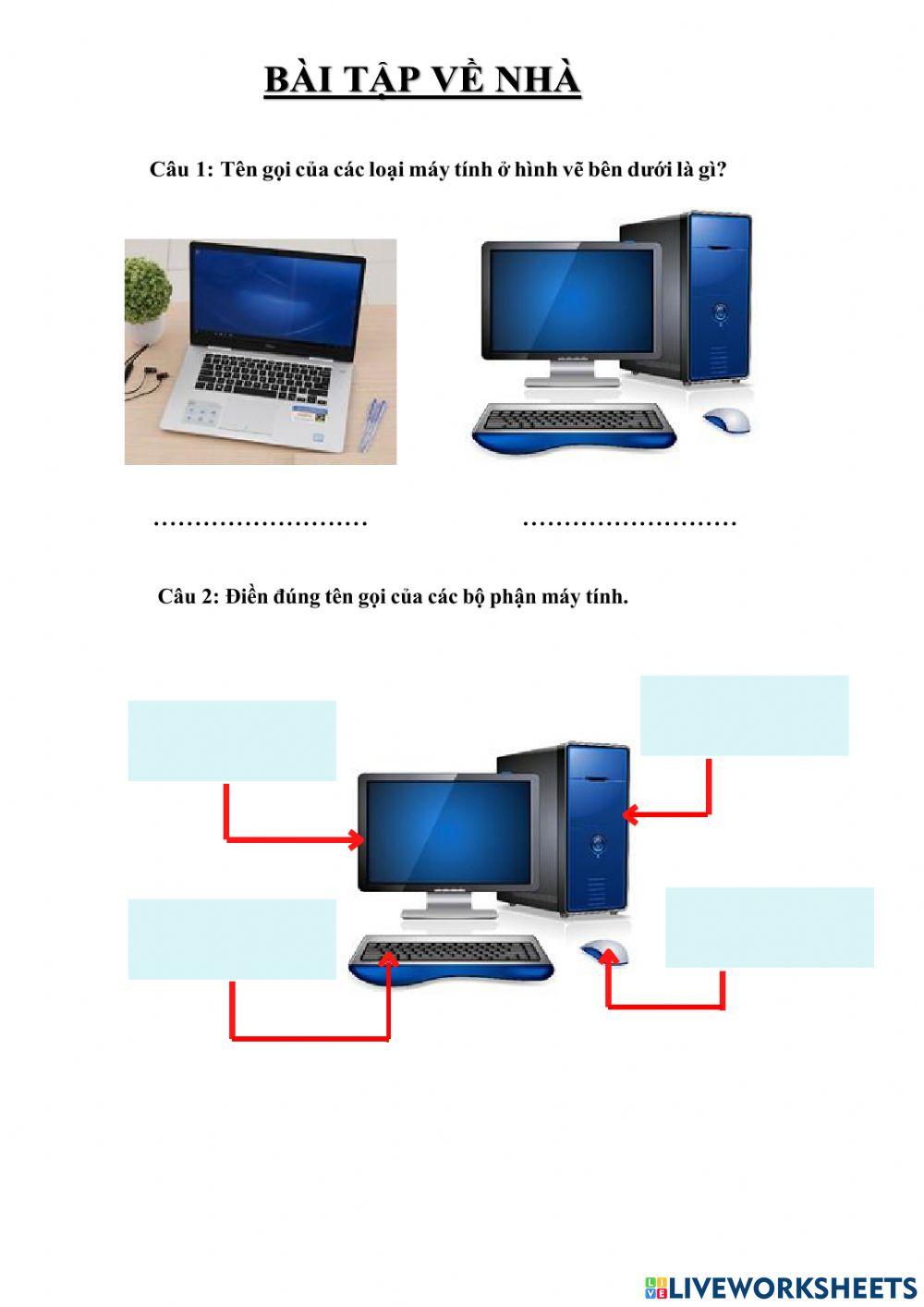 Bài tập về nhà | Vi Văn Điệp | Live Worksheets