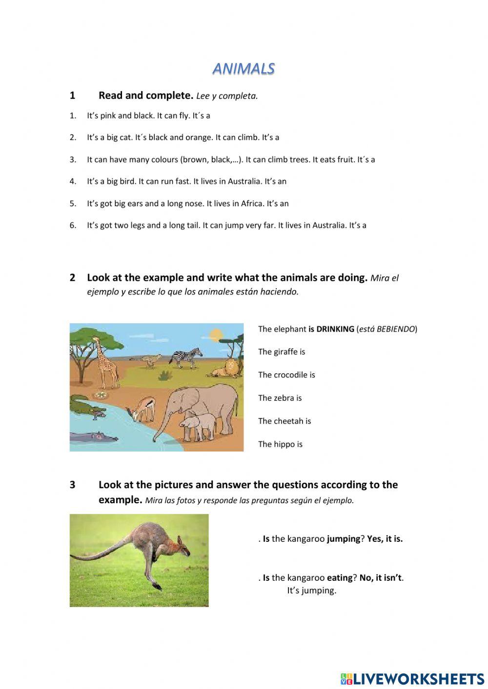 Animal actions | Free Interactive Worksheets | 1777674