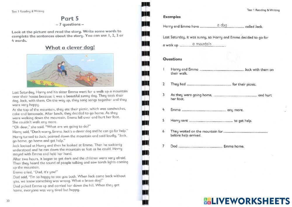 BE 5, CAMBRIDGE 5 online exercise for | Live Worksheets