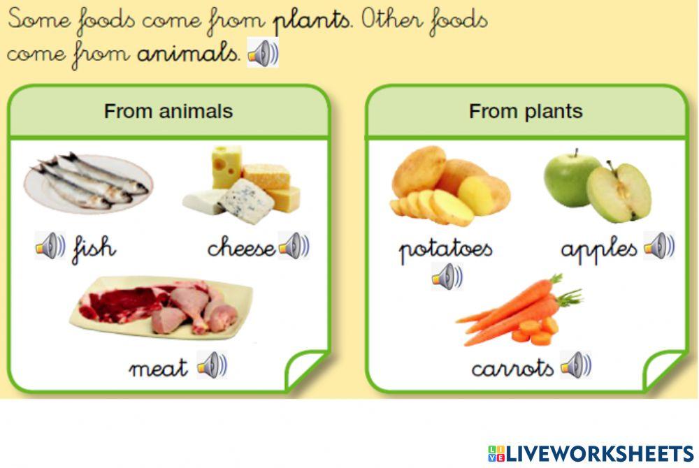 Where Do Foods Come From Interactive Worksheet Live Worksheets Where Do Foods Come From Interactive Worksheet Live Worksheets