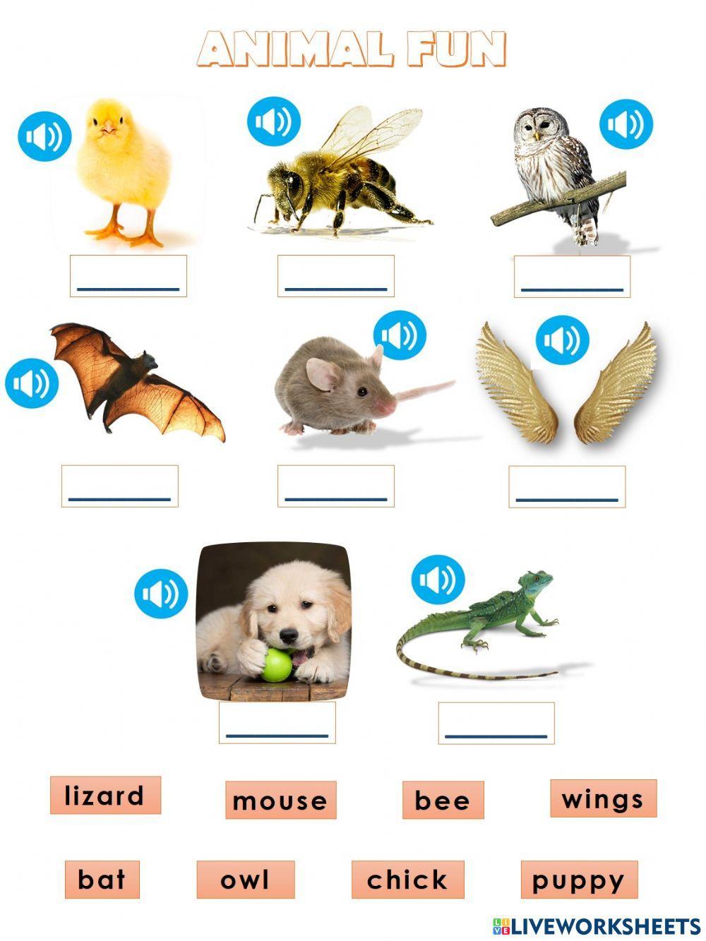 Animals online exercise for 2 | Live Worksheets