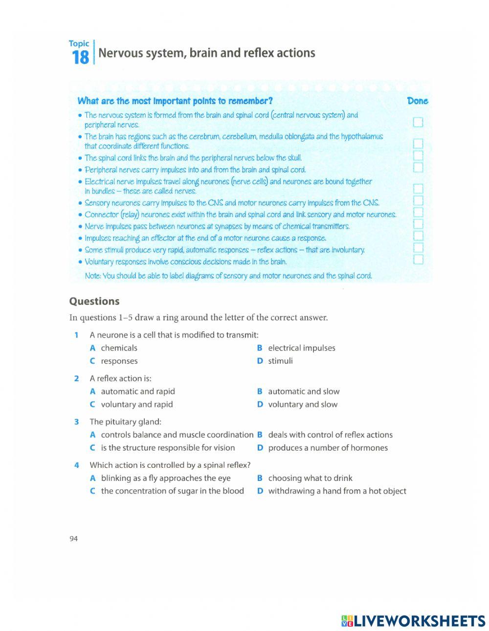 4068663 | Nervous System | Science Science