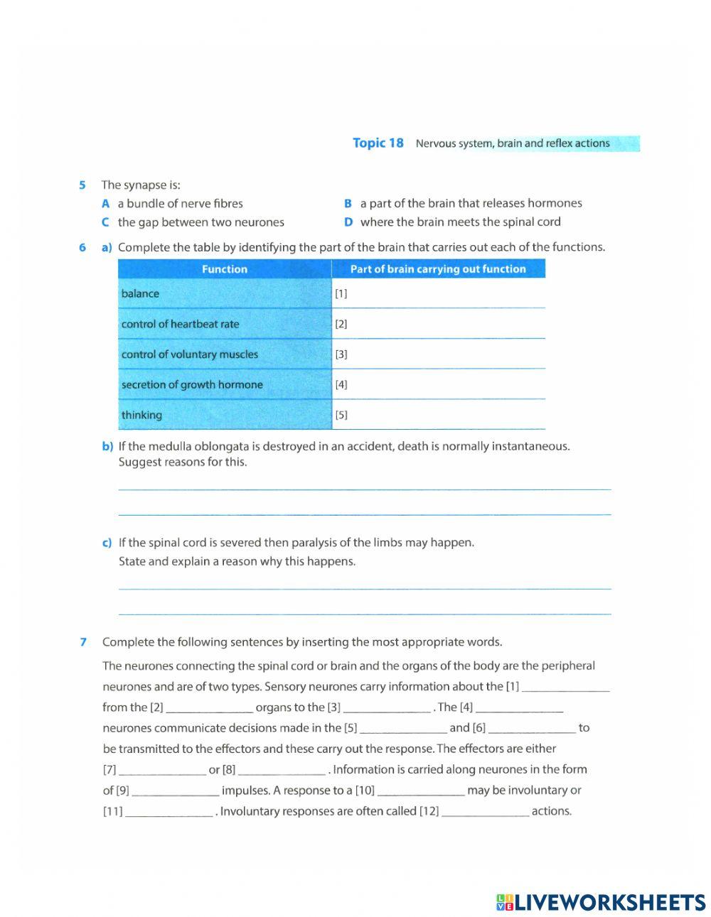4068663 | Nervous System | Science Science