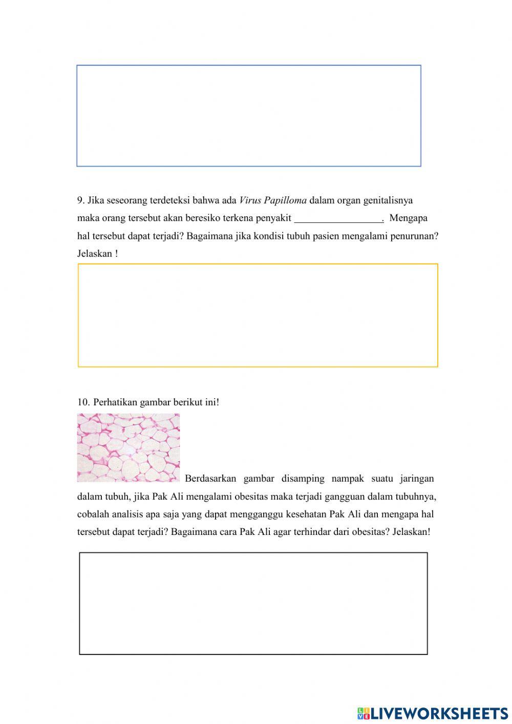 Biologi interactive activity for 11 | Live Worksheets