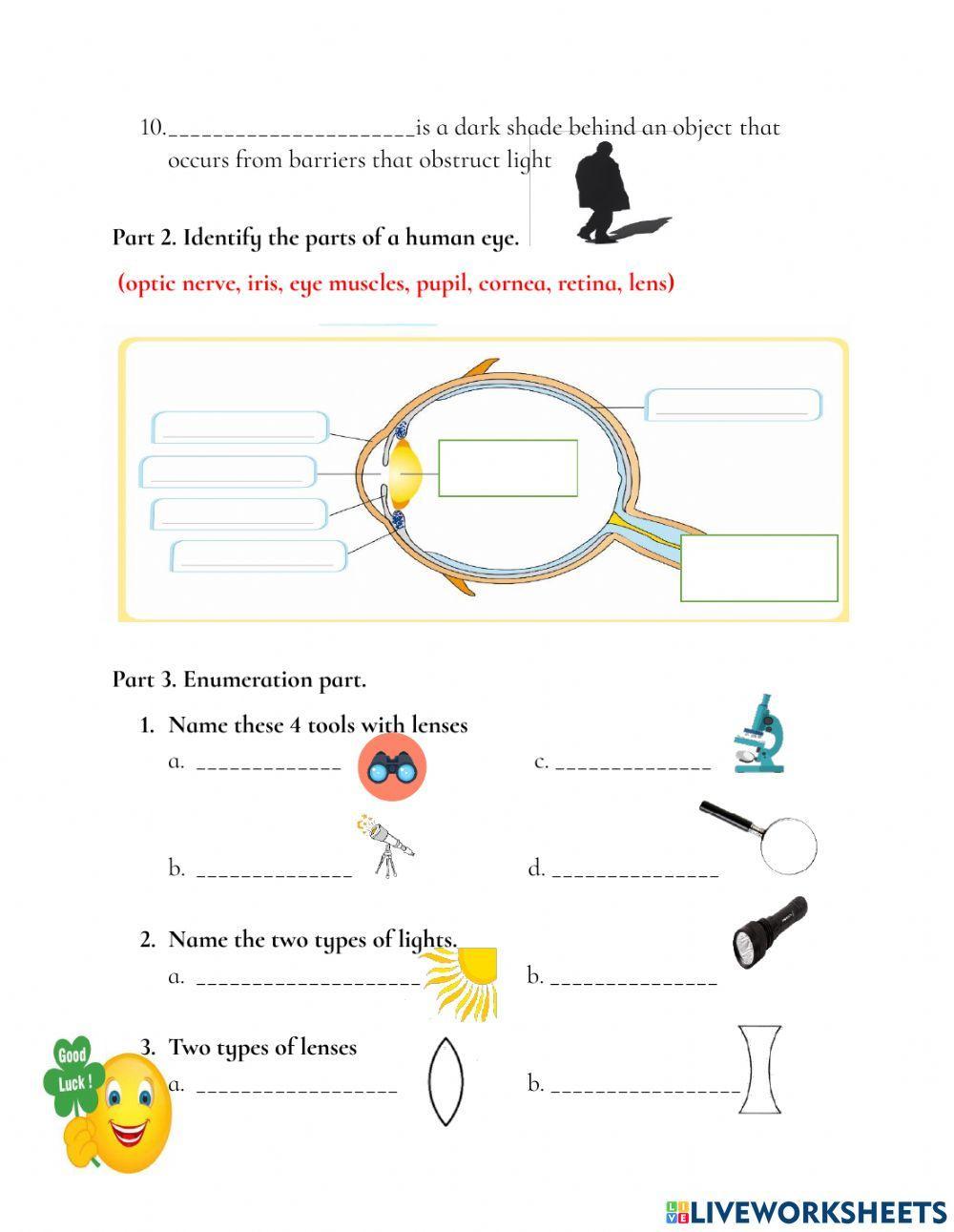 Midterm exam free activity | Live Worksheets