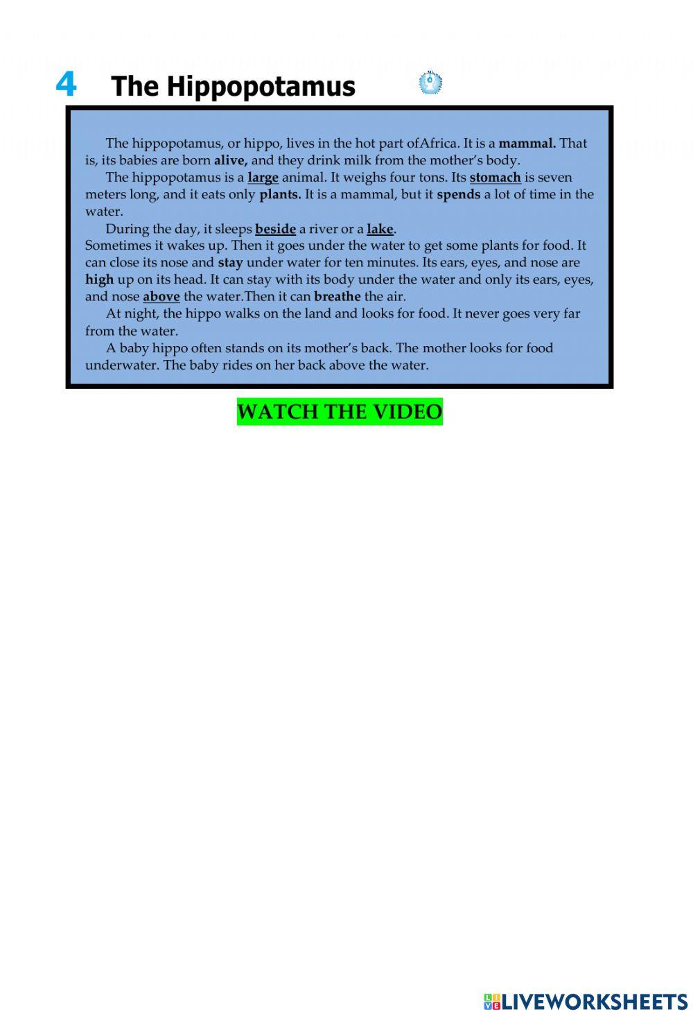 The Hippo | Free Interactive Worksheets | 6905840