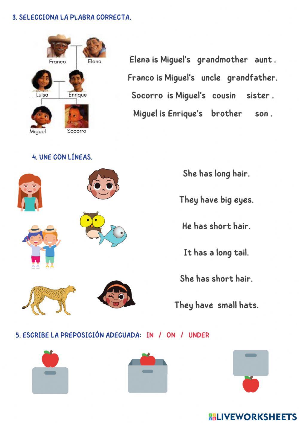 PT LEVELS 1 and 2 online exercise for | Live Worksheets