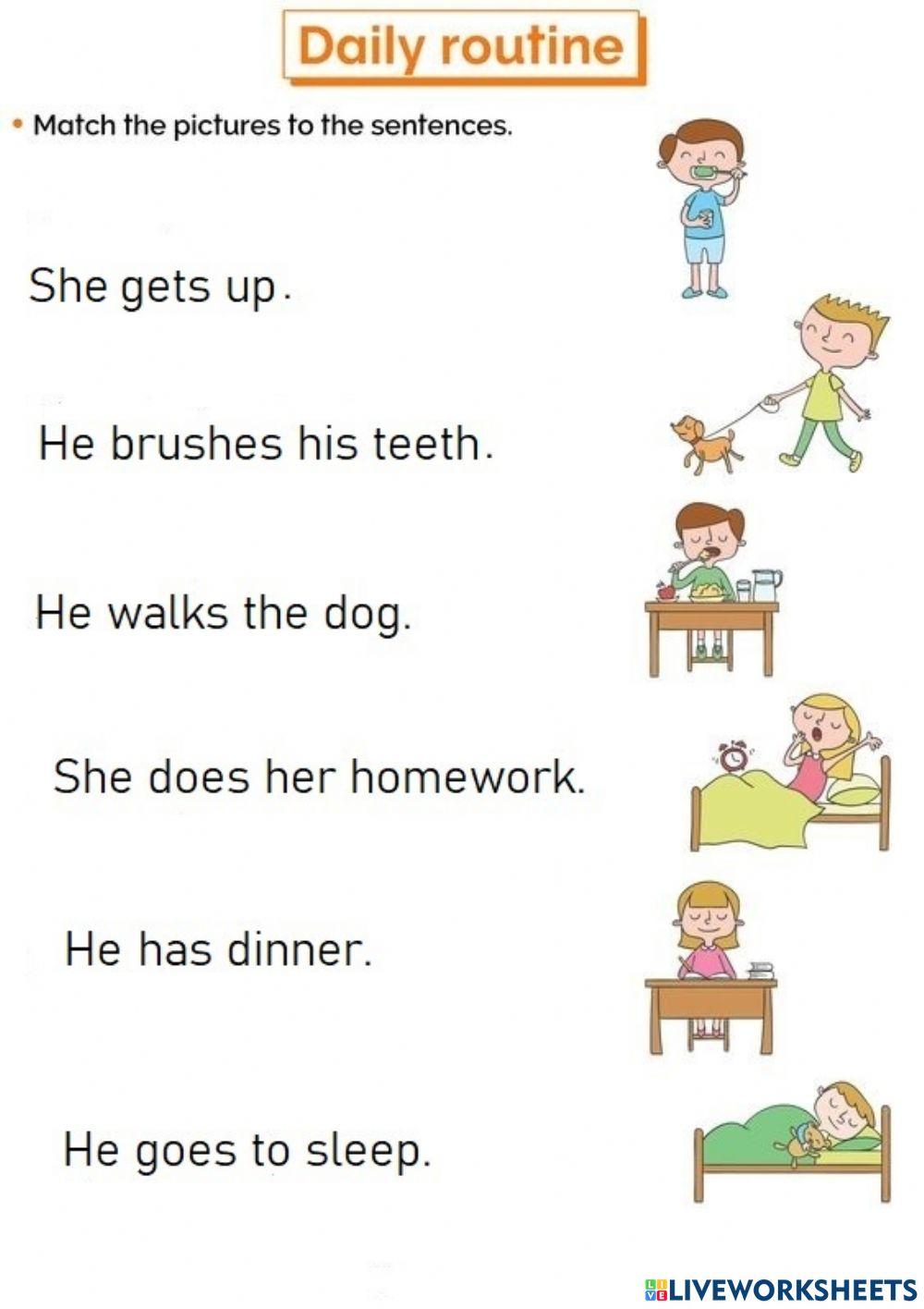 He-She daily routines 2452888 | Telstar | Live