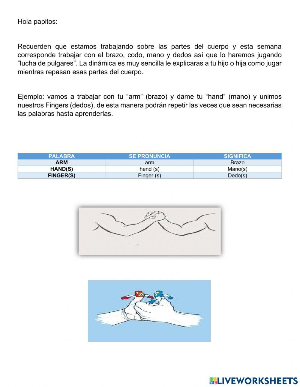 Partsof the arms worksheet | Live Worksheets