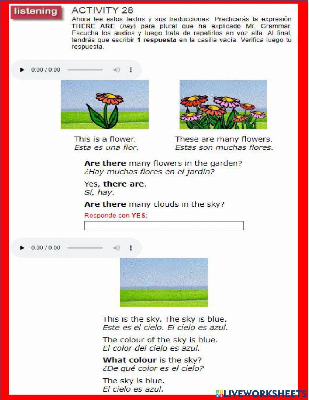 Principiante activity | Live Worksheets