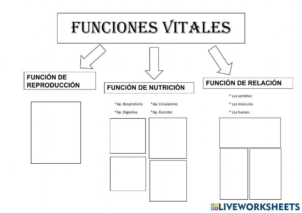 FUNCIONES VITALES 2175032 | Laura Torrente Grande | Live