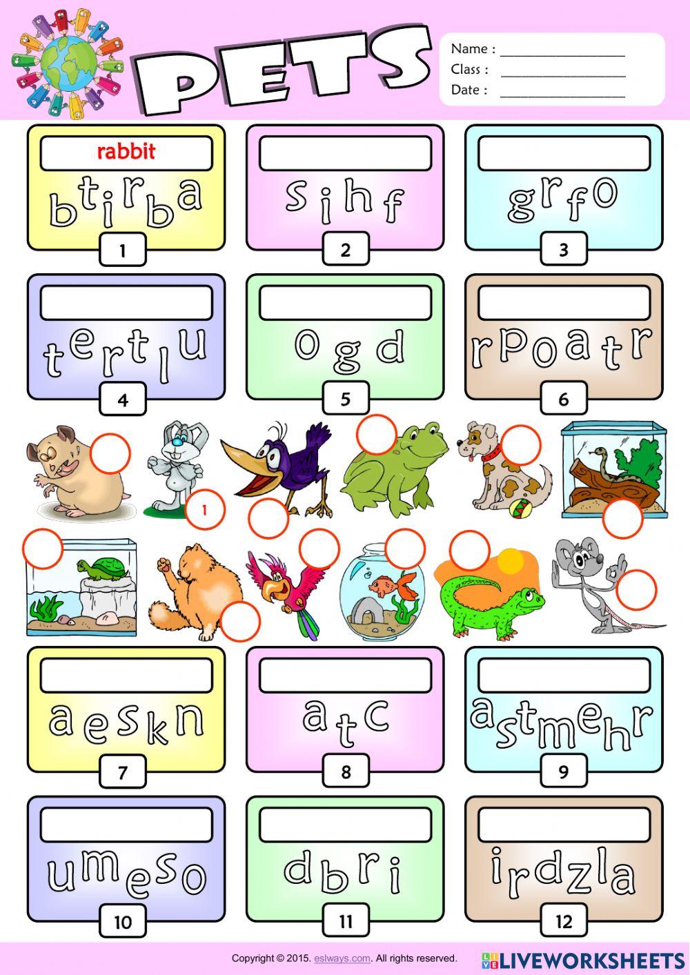 My pets | Free Interactive Worksheets | 2455065