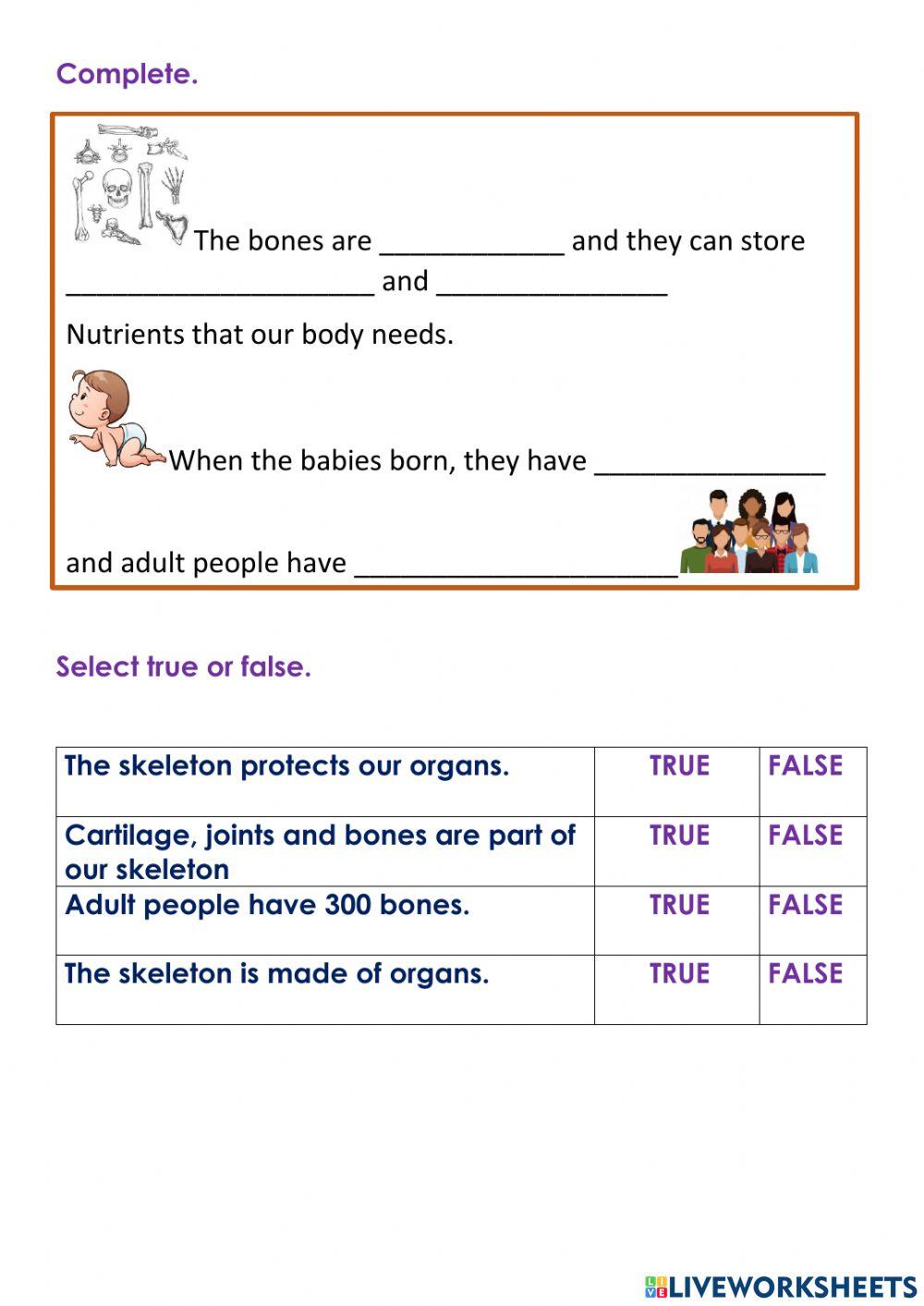 The skeleton online pdf activity for 2 | Live Worksheets
