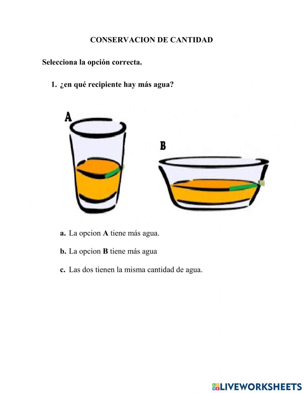 Conservacion worksheet | Live Worksheets