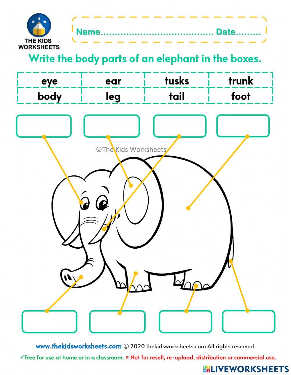 labelling elephant