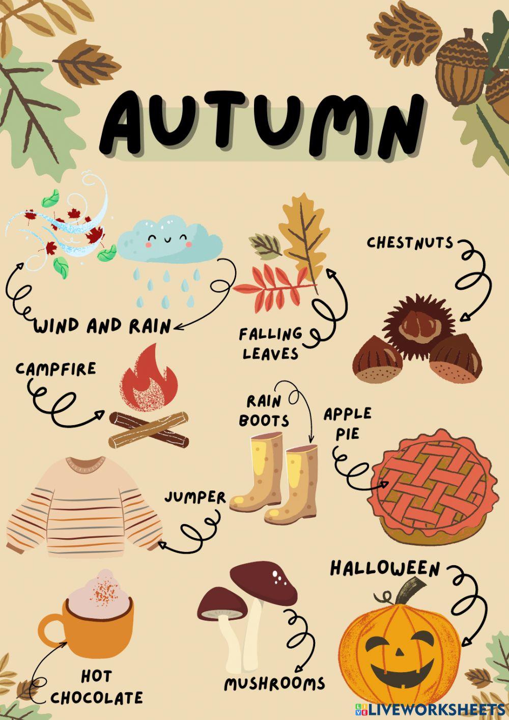 Autumn 2183979 | patrigv3 | Live Worksheets