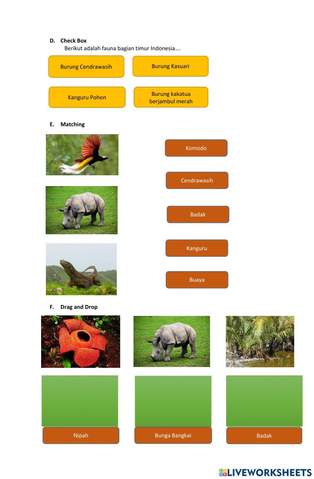 Flora dan Fauna… | Free Interactive Worksheets | 2177888