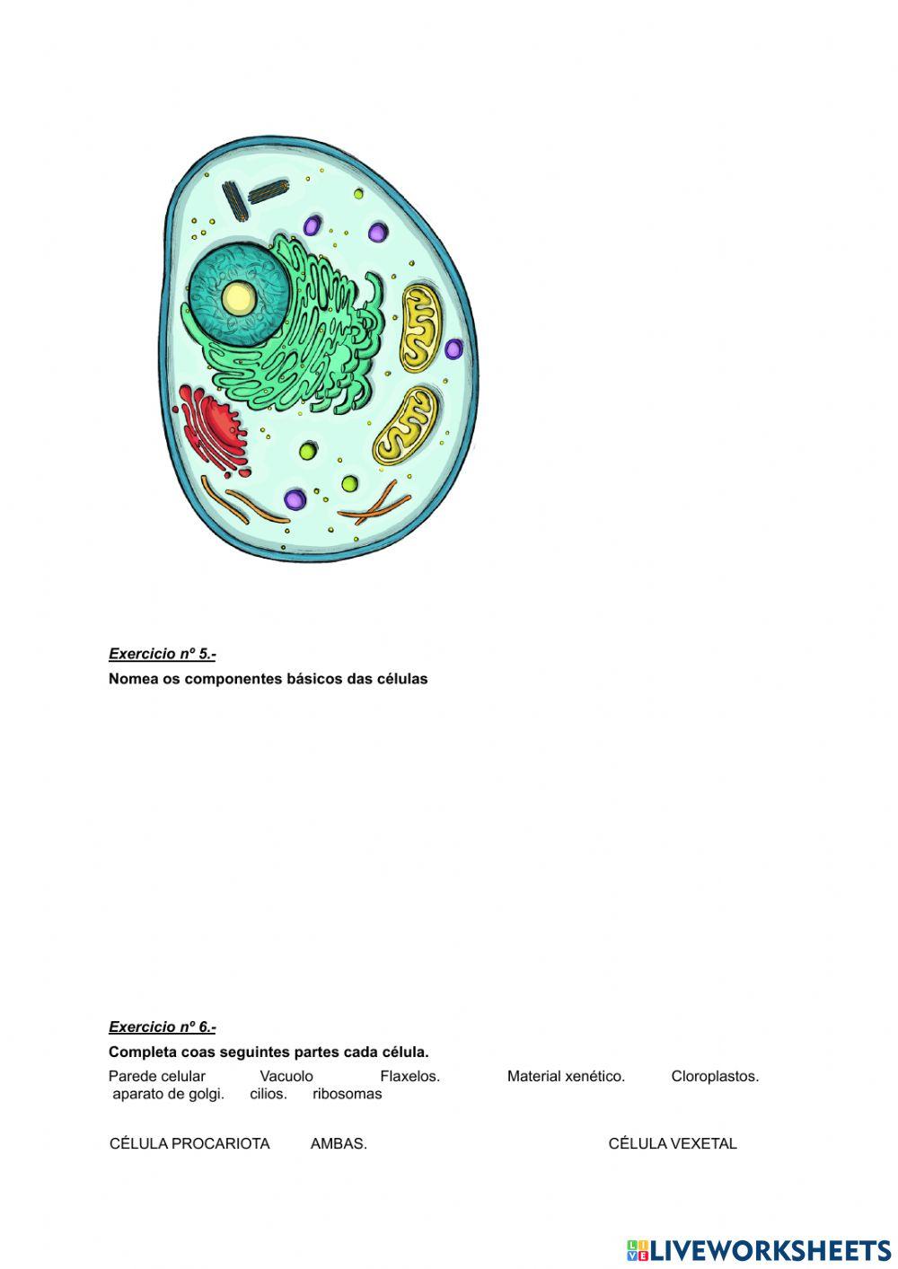 Tema 1 Biología Los seres vivos worksheet | Live Worksheets