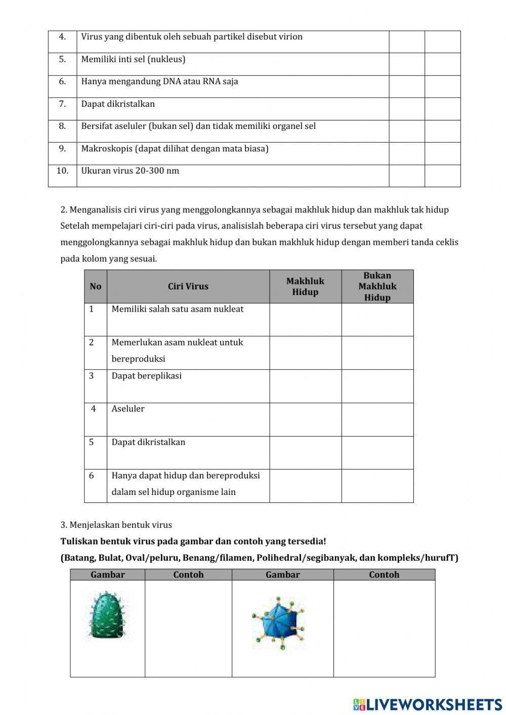Biologi online activity for X | Live Worksheets