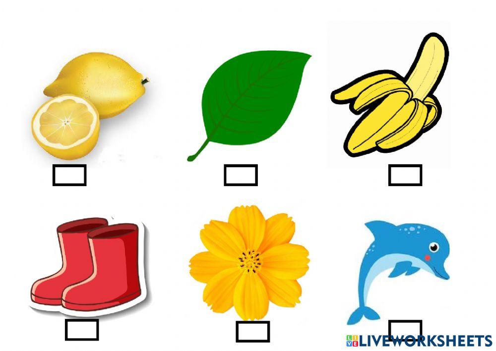 2180362 | Color amarillo | Isabel Alarcón Adán