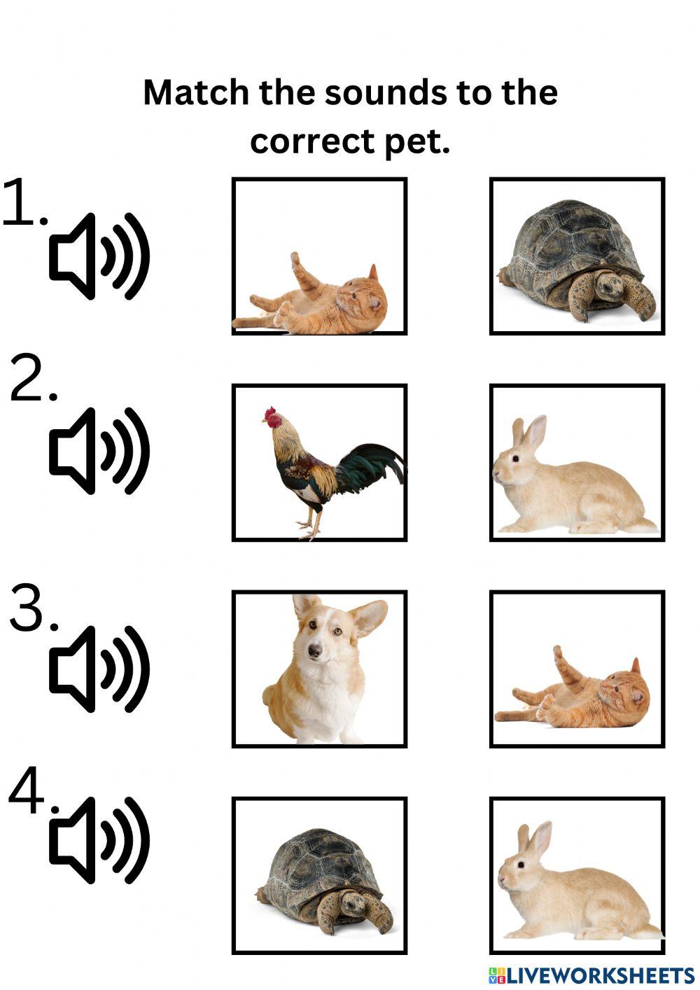 2181199 | Sounds of Pets | Ezzair | LiveWorksheets