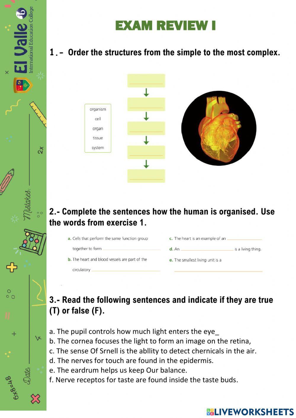 REVIEW I SCIENCE online exercise for | Live Worksheets