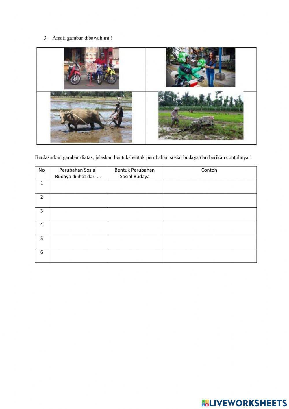 Ips 9 activity | Live Worksheets