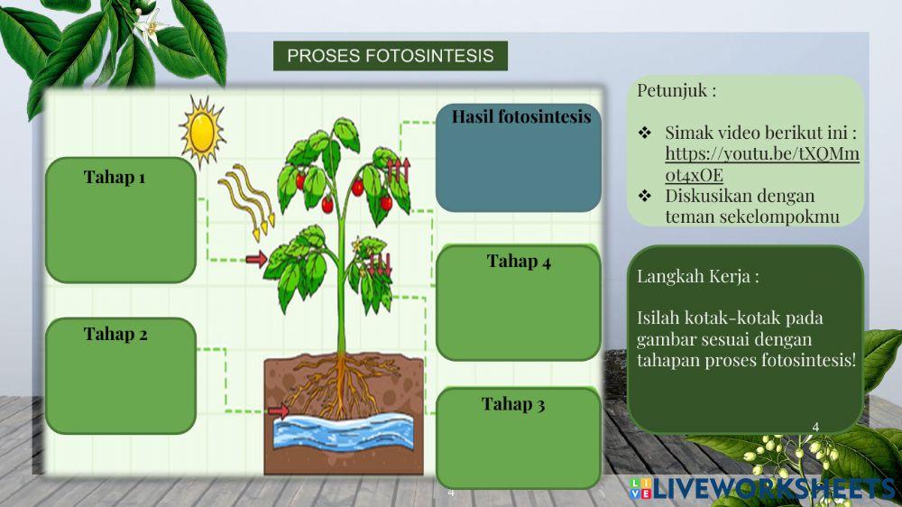 2183451 | LKPD Fotosintesis kelas IV SD | Widia astanti