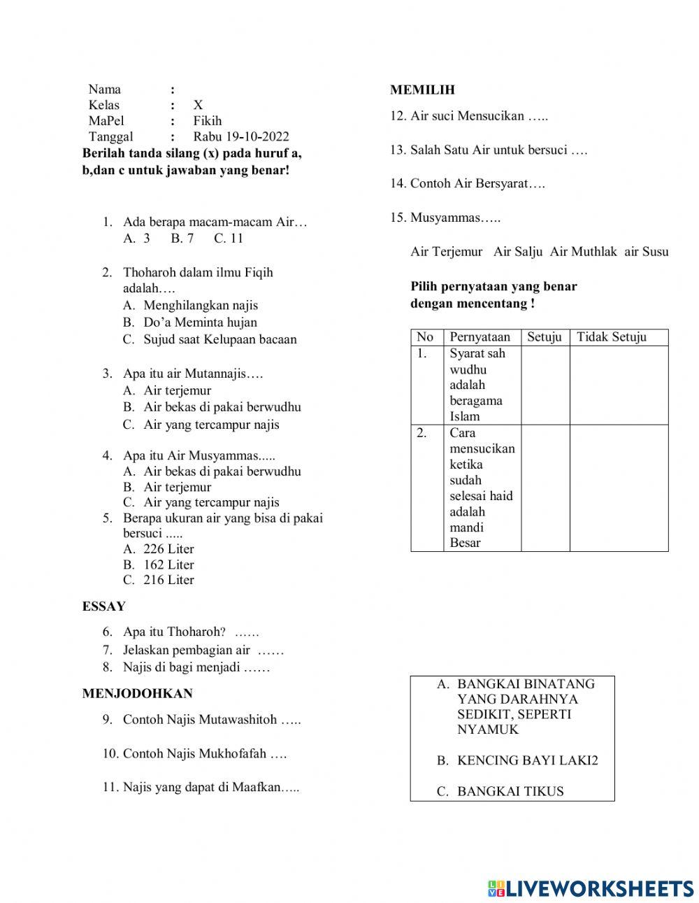 SMA 1 worksheet | Live Worksheets