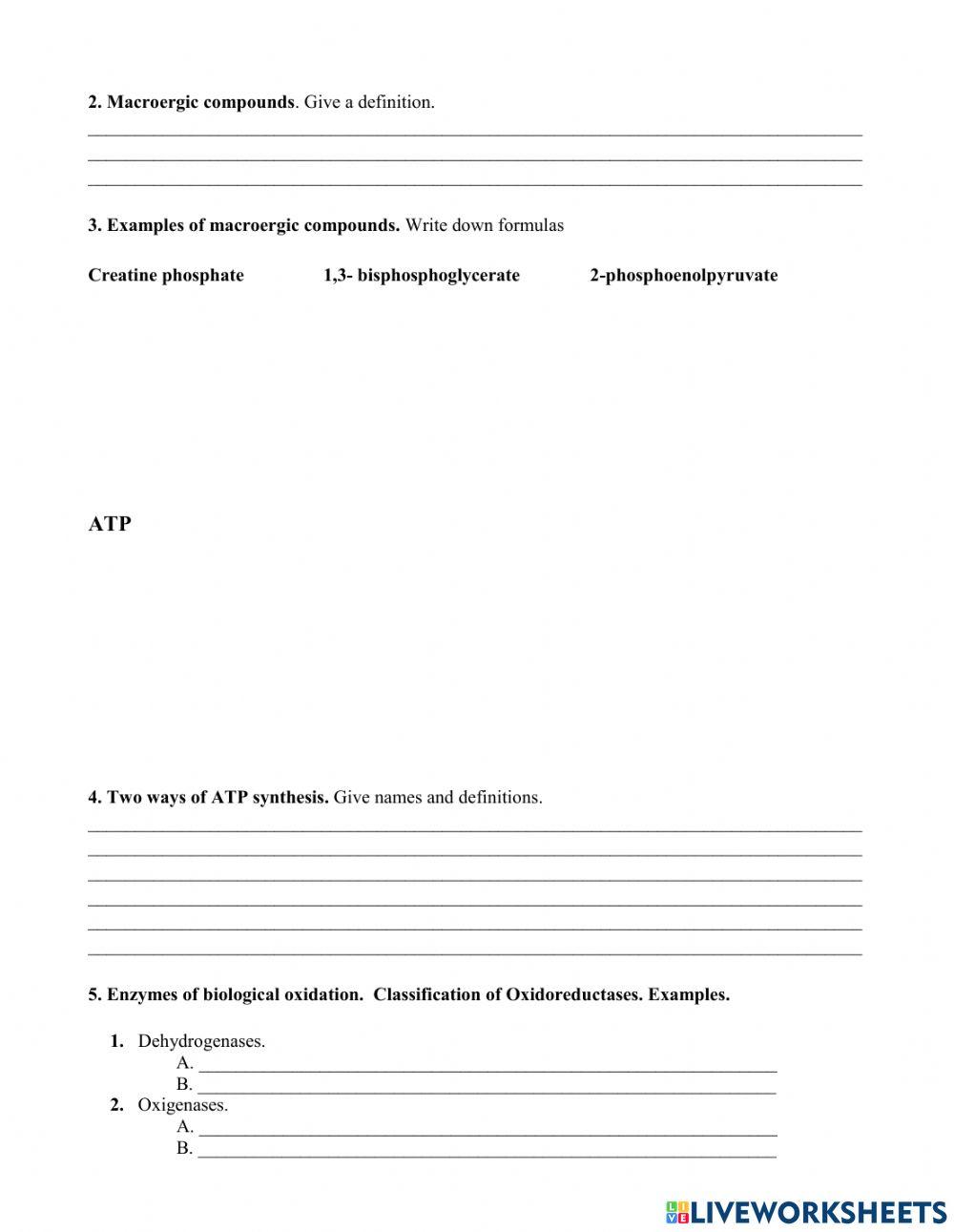 energy pathways worksheet