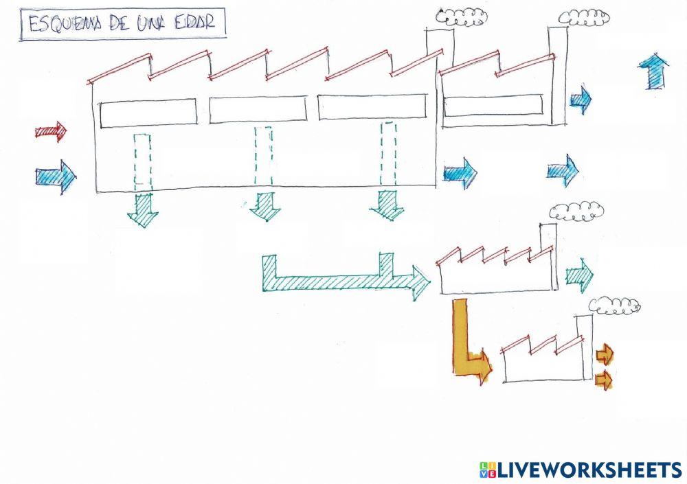 Esquema de una edar worksheet | Live Worksheets