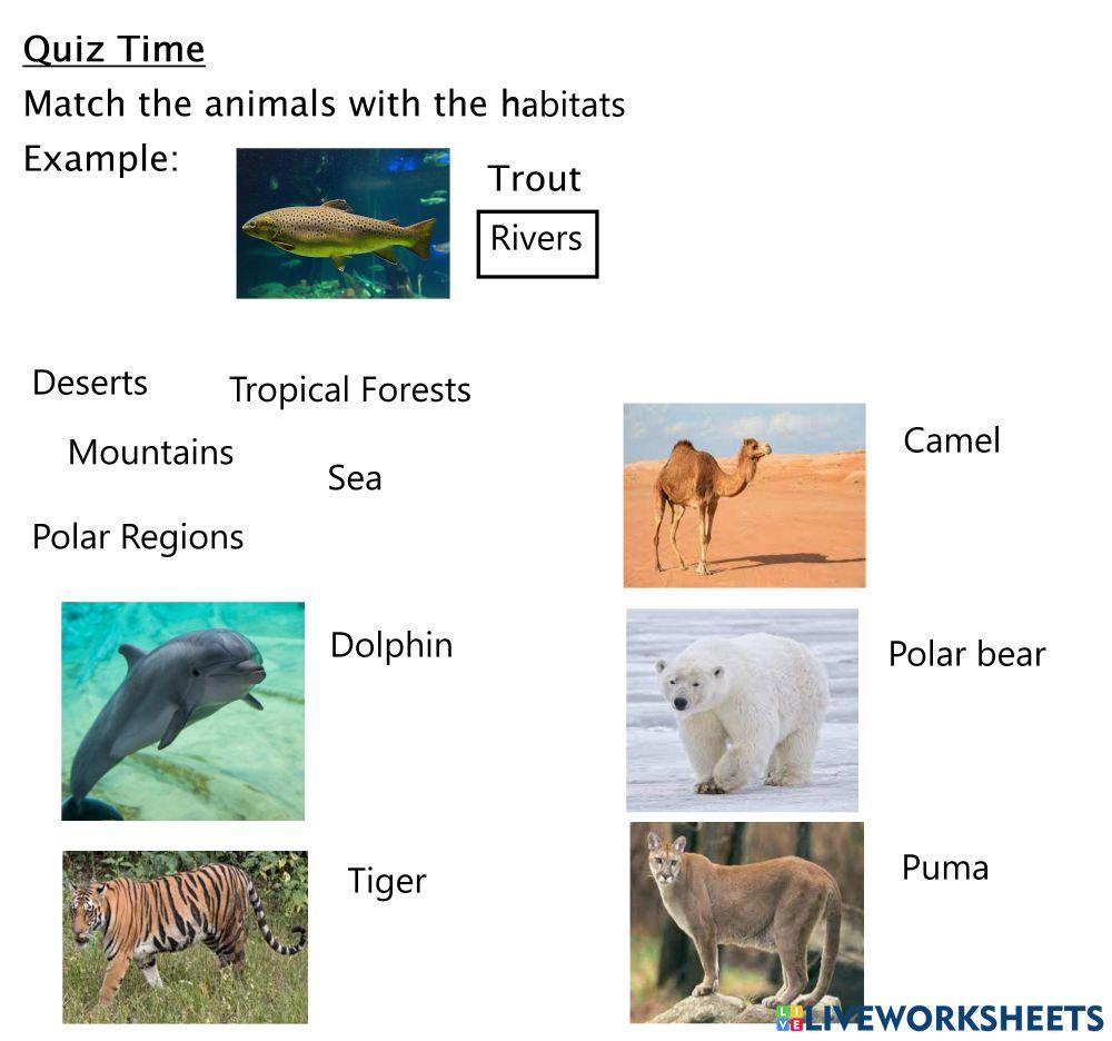 Fauna online worksheet | Live Worksheets