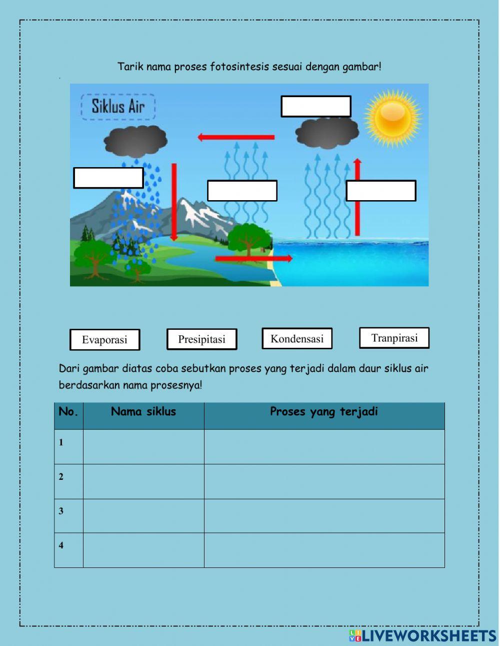Siklus Air exercise for 4-6 | Live Worksheets
