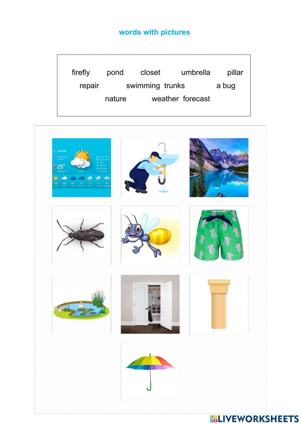 The weather forecast activity | Live Worksheets