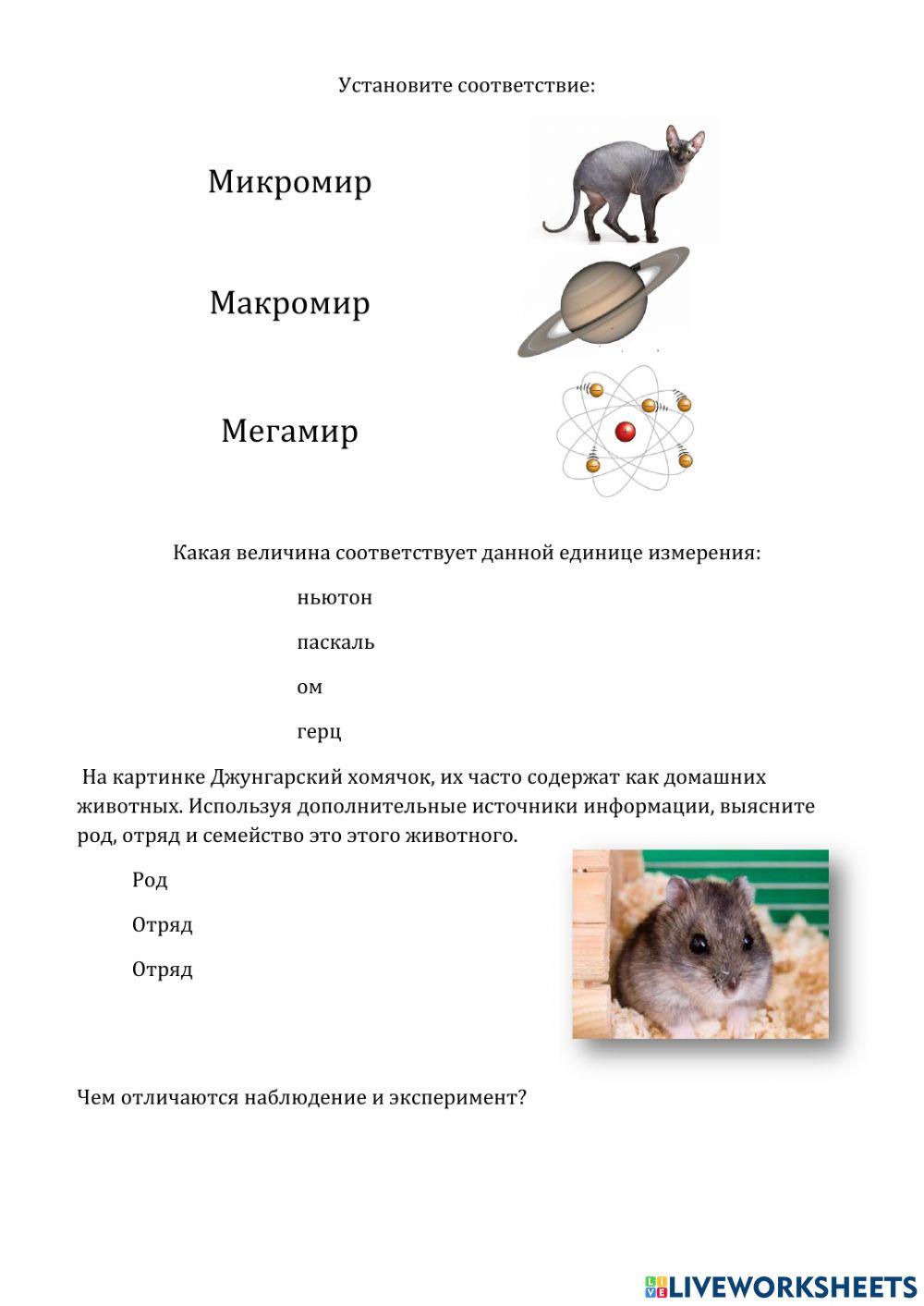 Естествознание 2185389 | karishka_mushka | Live