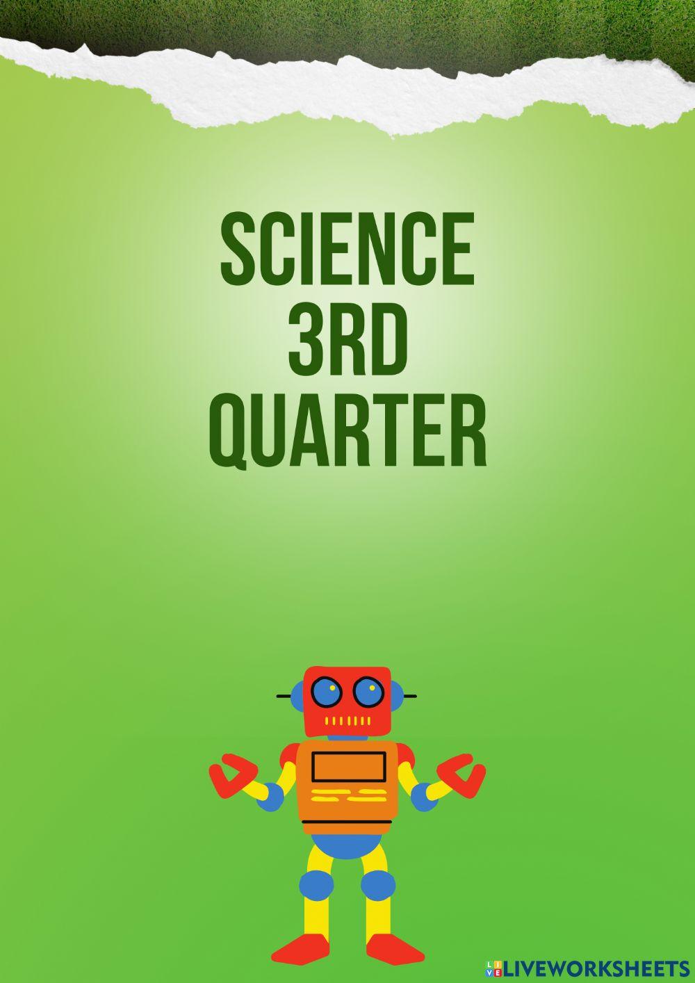 Workbook Divider | Free Interactive Worksheets | 2185508