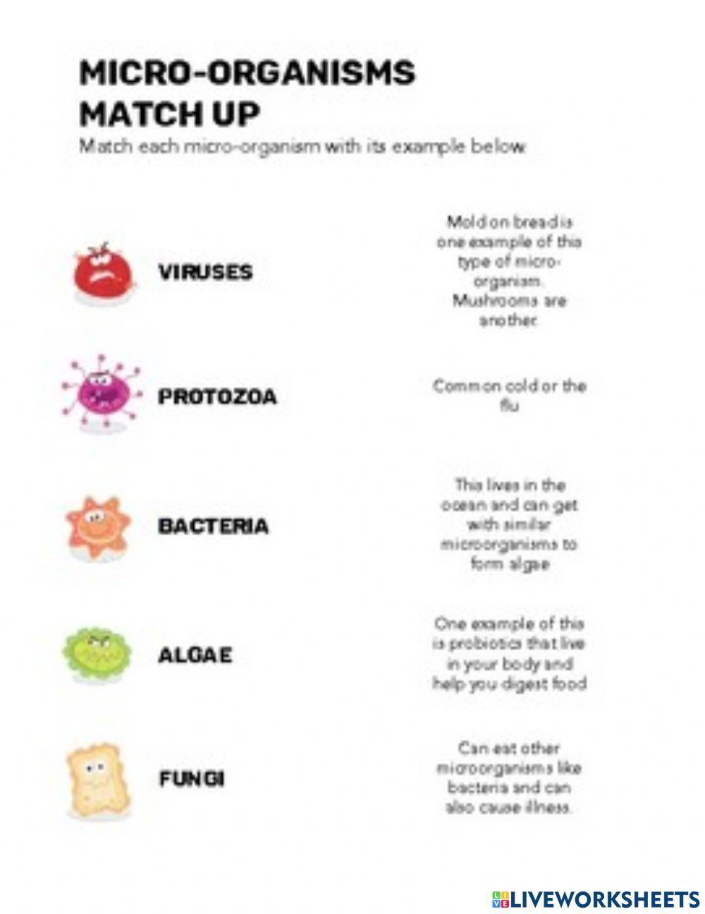 Microorganisms online exercise for | Live Worksheets