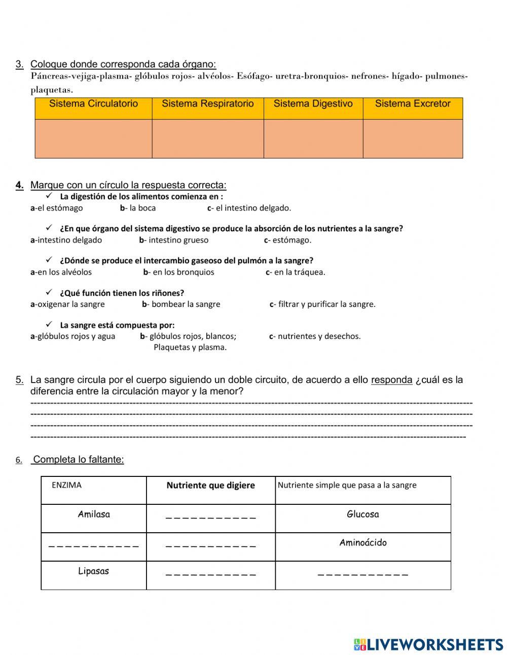 vdj | Act. de Prác. e Int.GA 7 6908988 | LiveWorksheets