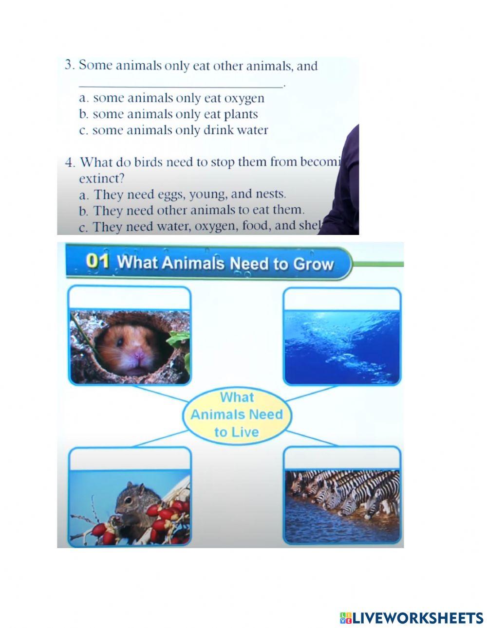 What animals need to grow. online exercise for | Live Worksheets