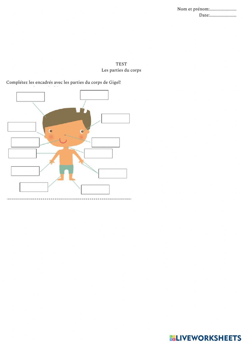 Les parties du corps online pdf worksheet | Live Worksheets