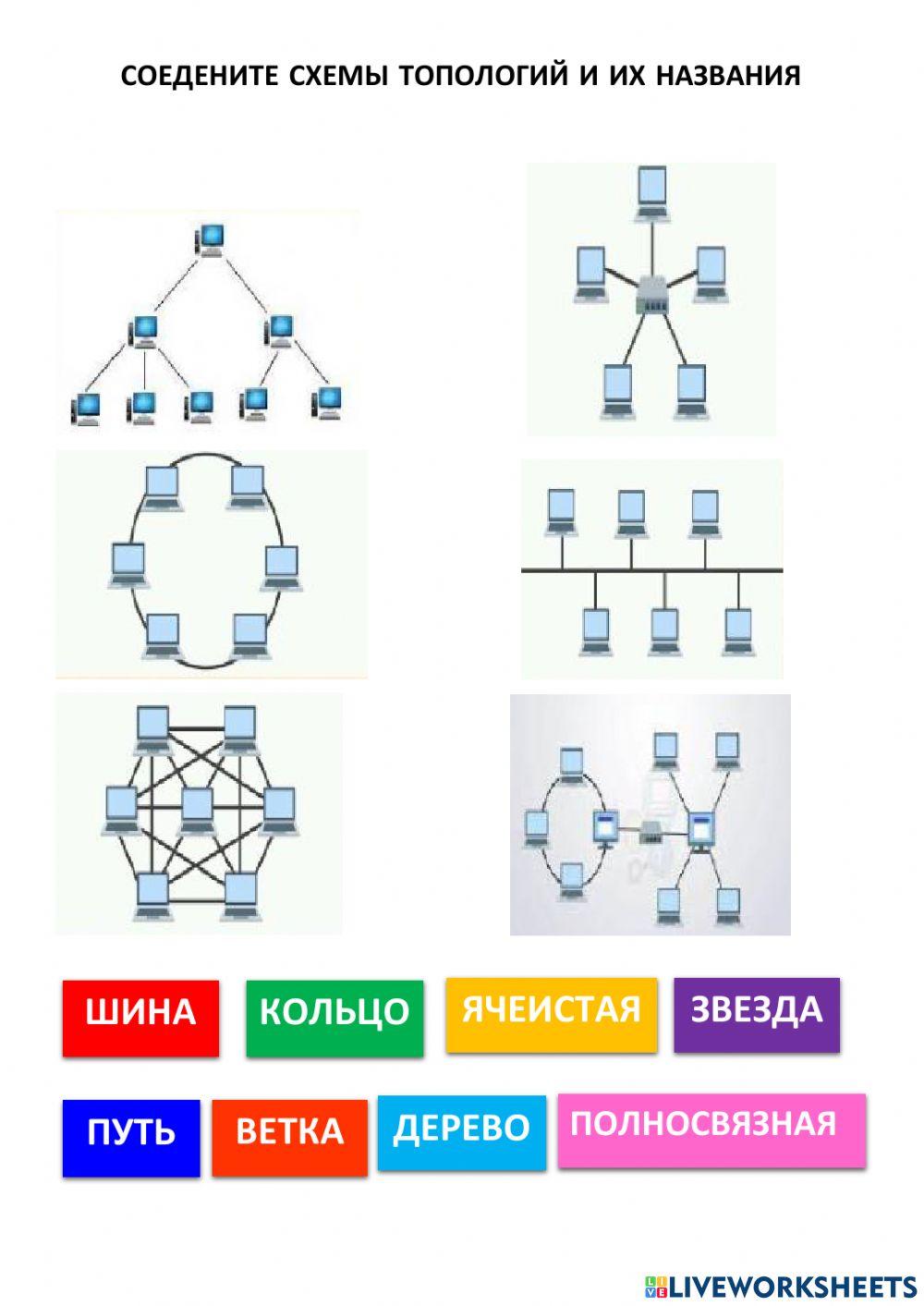 Topology 2192225 | Dinara1601 | LiveWorksheets