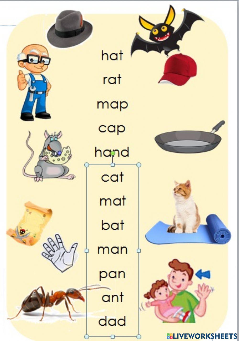 Phonics Step 2 worksheet | Live Worksheets