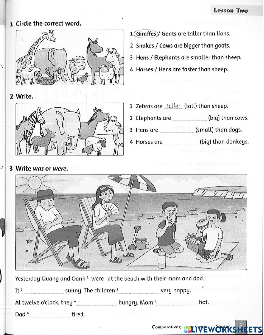 English 4 - workbook - starter online exercise for | Live Worksheets