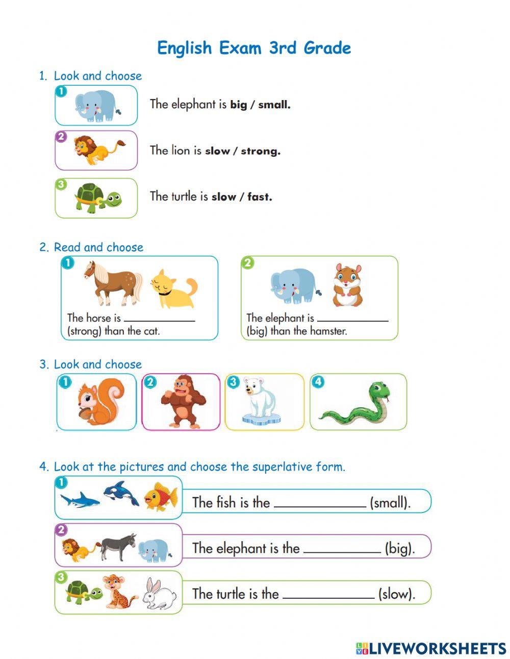 Bimestral3 3rd grade worksheet | Live Worksheets